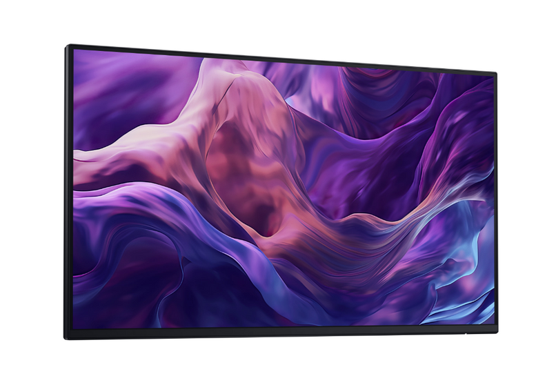 Dell 24 Monitor - P2425H, without stand, 60.5cm (23.8" - Klick e-pood