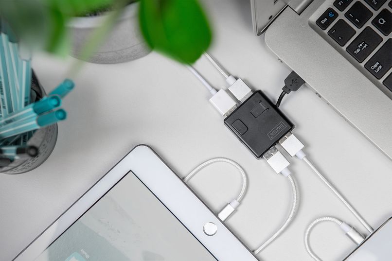 Dokkimisjaam Digitus DA-70217 - Klick e-pood